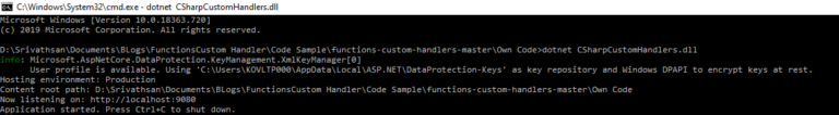 Detailed View on Azure Function Custom Handlers | Turbo360