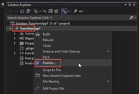 How to Run Azure Function Locally in Visual Studio 2022?